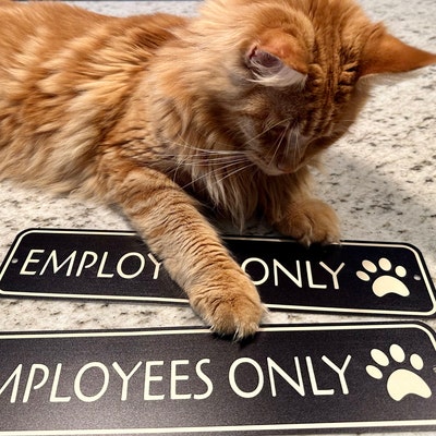 Pet Pad Sign, Custom Paw Print Sign, Personalized Sign for Cat Dog, Pet ...