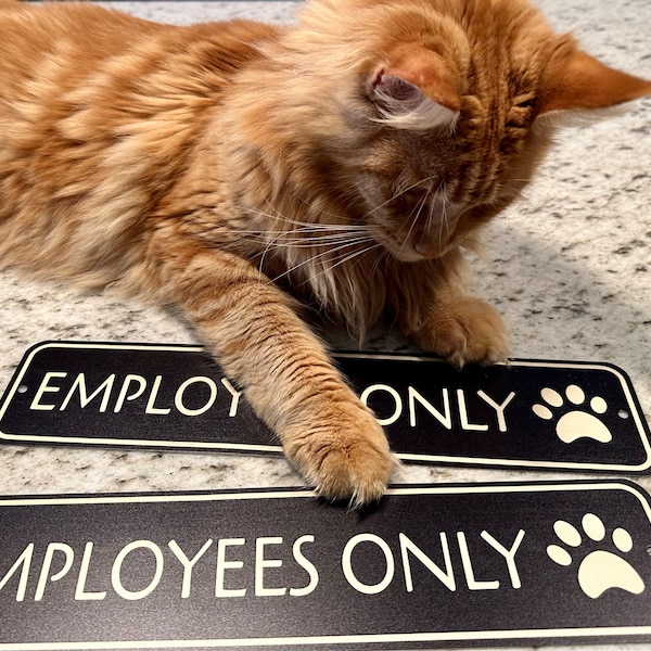 Pet Pad Sign, Custom Paw Print Sign, Personalized Sign for Cat Dog, Pet ...
