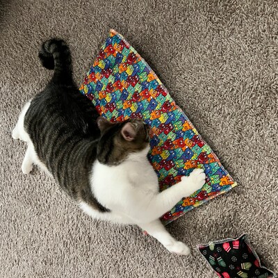 9 X 9 Catnip Mat-all Natural Catnip-cats-cat Toy-gifts for Pets-cat Gifts-pet Gifts-catnip Mat ...