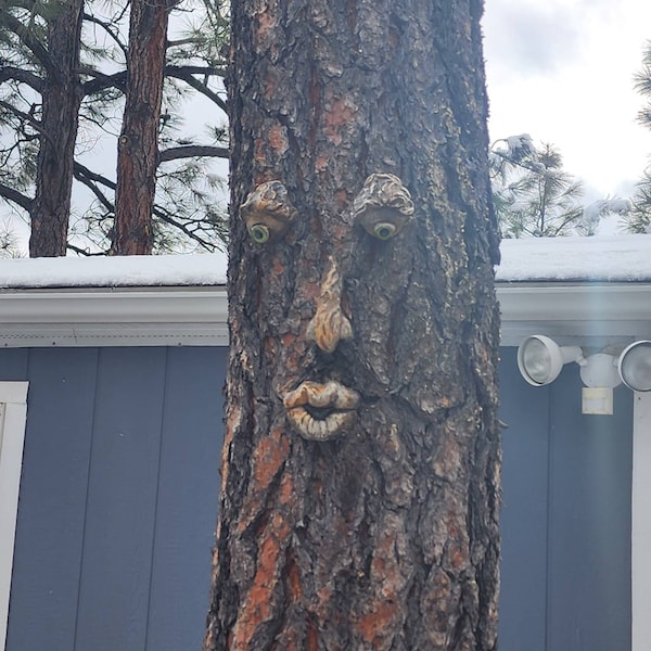 Forrest Stump - Concrete Tree Face Whimsical Gardeners Gift Forest Face ...