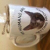 Ms. Rachel Inspired 15oz Mug - Etsy