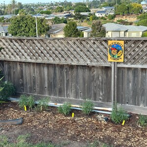 Rodeo Cowboy Wall Art, Rodeo Photography, Cowboy Photography, Rodeo ...