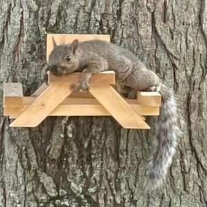 Handmade Squirrel Picnic Table Green Picnic Table for Squirrel Fence ...