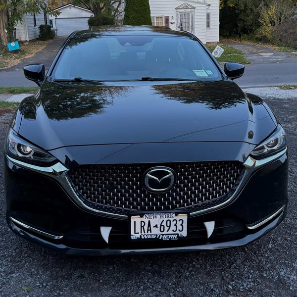 Universal Car Vampire Teeth / Bumper Fangs / Halloween Car Decoration ...