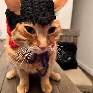 Medieval Helmet Knight Helmet Crochet Helmet Halloween Cat - Etsy