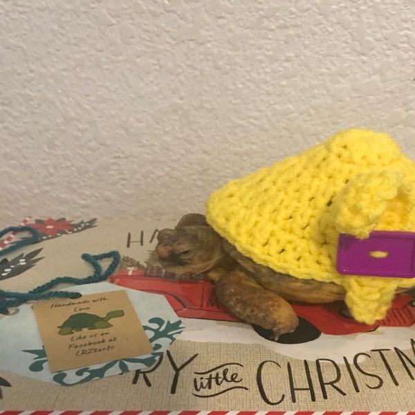 Tortoise Sweaters, Pet Costume, Turtle Sweater, Cute Animals, Tortoise ...