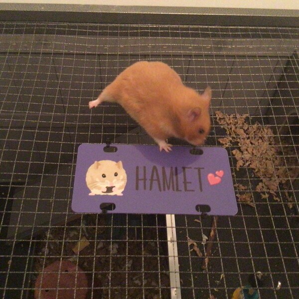 Personalized Hamster Cage Name Plate – Custom Name Tag for Small Pets ...