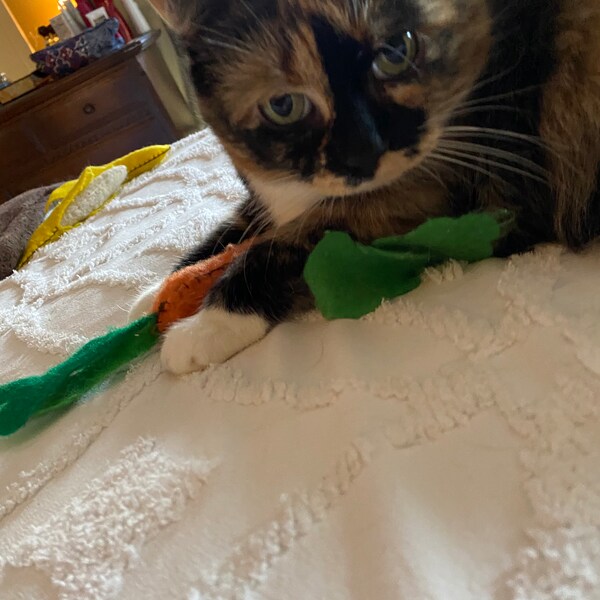 Turnip Catnip Cat Toy Hand-sewn Handmade Homegrown Cute Catnip Gift for ...