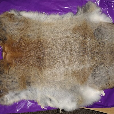1 Pcs Natural Color Rabbit Fur Pelts Craft Grade Assorted - Etsy