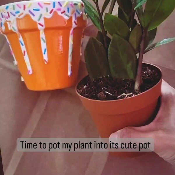 Sprinkle Planter, Cloud Plant Pot, Sunset Planter, Ice Cream Planter ...