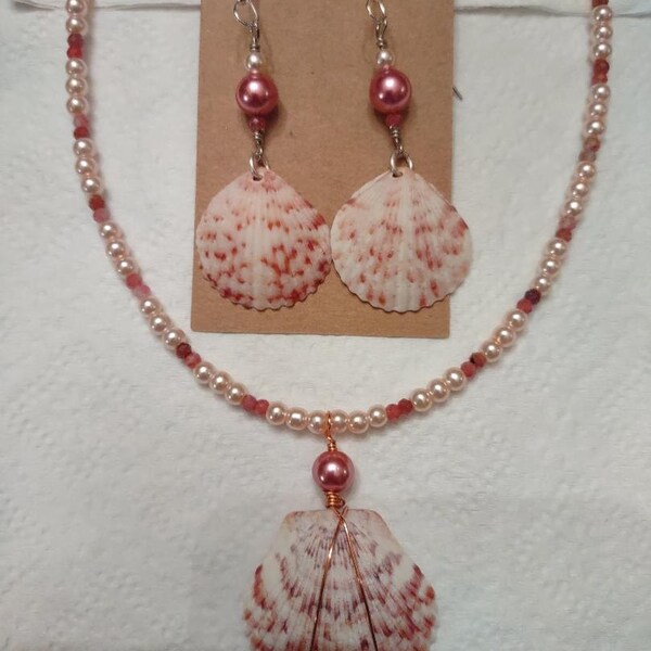 Hand Painted Scallop Seashell Christmas Ornaments, FREE SHIPPING ...