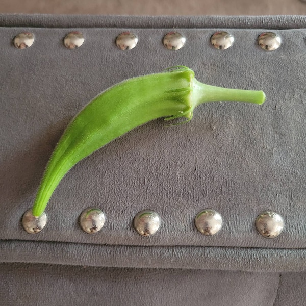 Okra Seeds - Organic, Heirloom, Open Pollinated, Non GMO - Grow Indoors ...