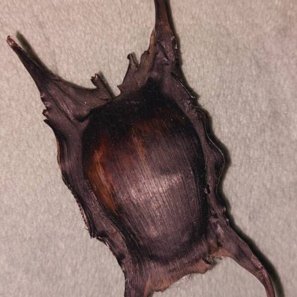 Miniature Blood Vial Vampire Accessories Halloween Decor Spooky ...