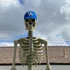 12 Ft Skeleton Pirate Costume!!!! (skelleton Not Included) - Etsy
