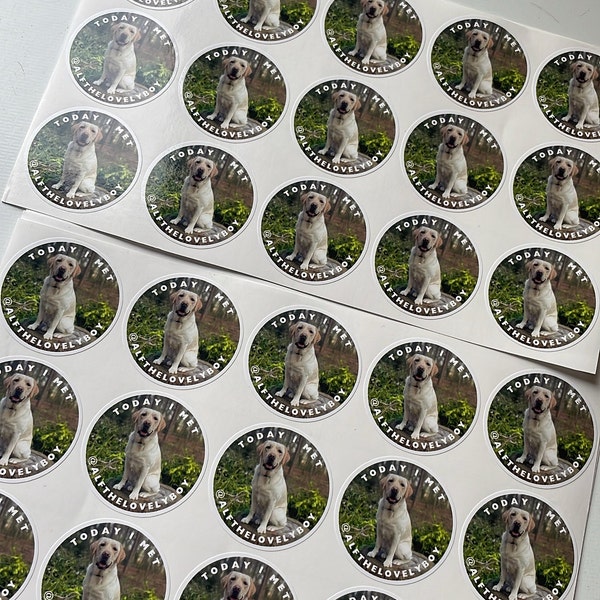 Black Box Fitted Sticker Young Driver Van Car Bike Truck Black Box ...