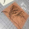 Unusual Gift 5 Sprouting Seed Faces Plantable Paper With Edible Sprouts ...