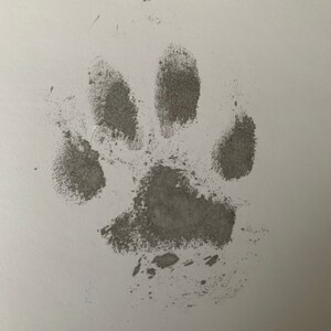 Inkless Pet Paw Print Kit Get High-quality Paw Prints With - Etsy