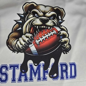 Bulldog Football PNG, Fierce Bulldog Spirit Shirt Design, Bulldog ...
