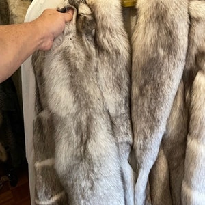 Real Fox Tail Fox Tail Fox Tails Red Fox Red Fox Tail Fox | Etsy