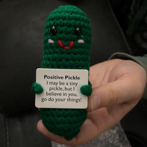 Emotional Support Pickle,positive Pickle,big Fan Pickle,handmade ...