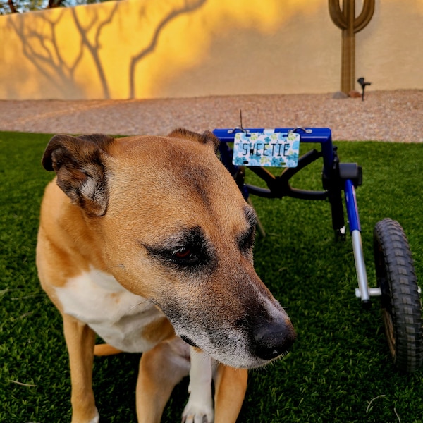 Floral Wheelchair Mobility Scooter Walker Elderly Custom Mini Aluminum ...