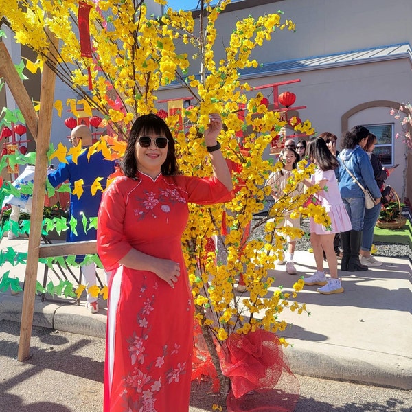 Ao Dai Lụa Van Go Blue Color/pre-made Traditional Dresses Vietnamese Ao ...