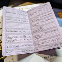 TIMED DAILY Schedule Planner Traveler's Notebook Insert Choice of 23 ...