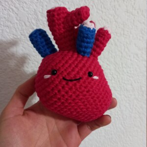 11 Crochet Organs Patterns EBOOK PDF Amigurumi Heart Liver - Etsy
