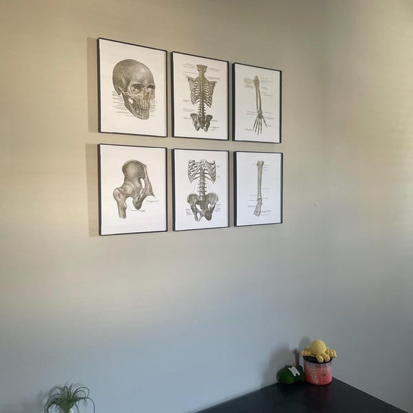 Tooth Numbering Poster Dentistry Art Dental Anatomy Art Tooth Chart ...