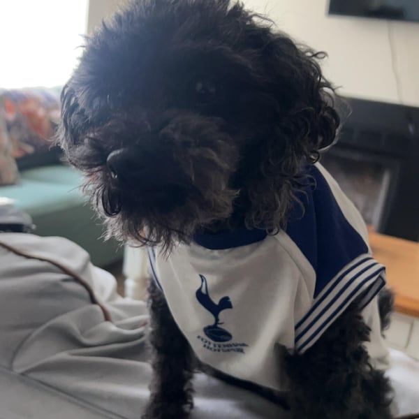Liverpool FC -inspired Personalised Pet Tank Top With Original FC Logo ...