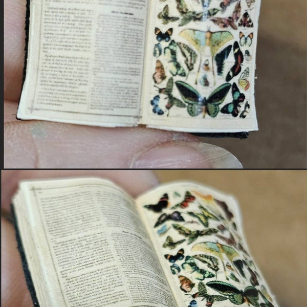 L. Delaney's All Dolled up DIY Book- Signed Copy (craft, Paper Dolls ...