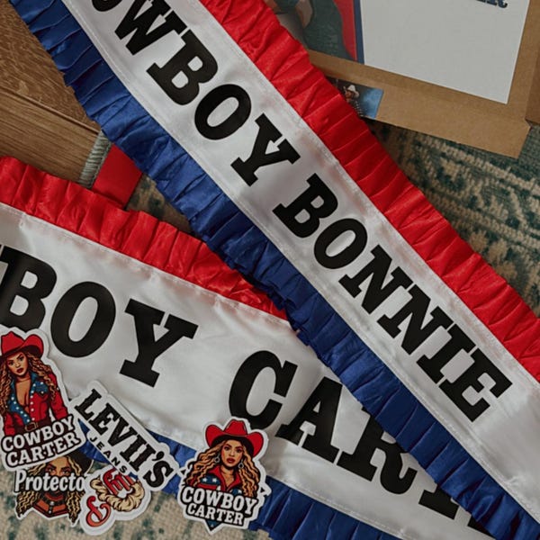 Dua Lipa Radical Optimism Poster, Retro Sunset Comic Print, Shark Pop ...