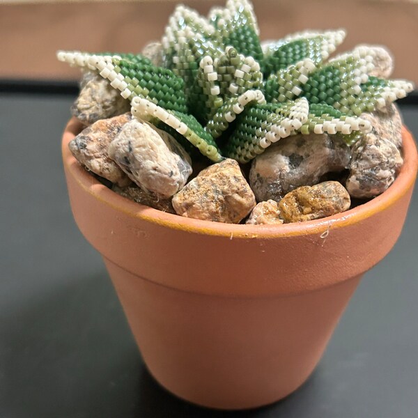 Beaded Succulents Sewing Pattern - Seed Bead Tutorial (PDF) - Etsy