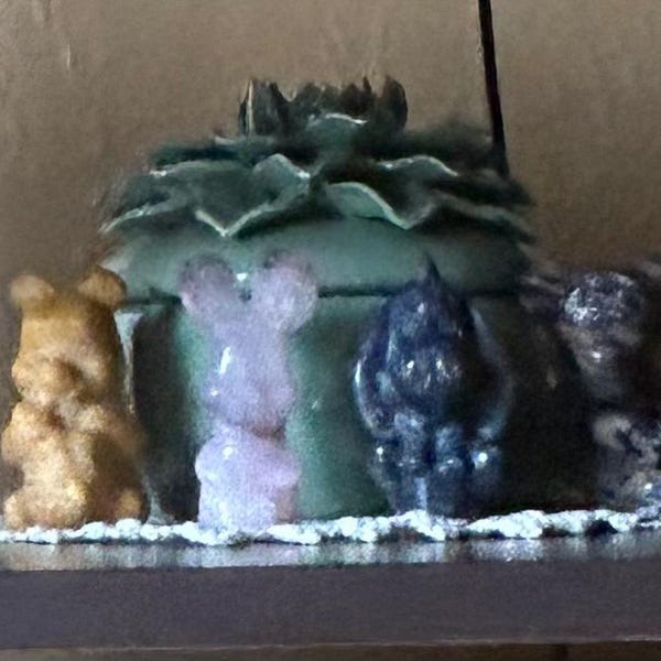 A Variety Box of Crystal Mini Skulls - Etsy