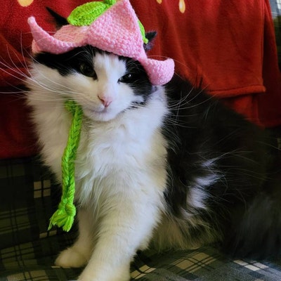 Flower Cat Hat - Etsy