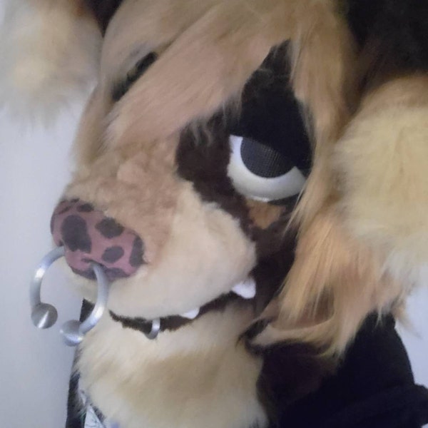 Fursuit Piercings! Rings and Studs! - Etsy