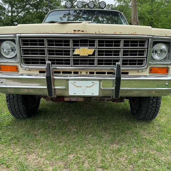 Western License Plate, Long Horn Accessory, Boho Cow Skull License ...