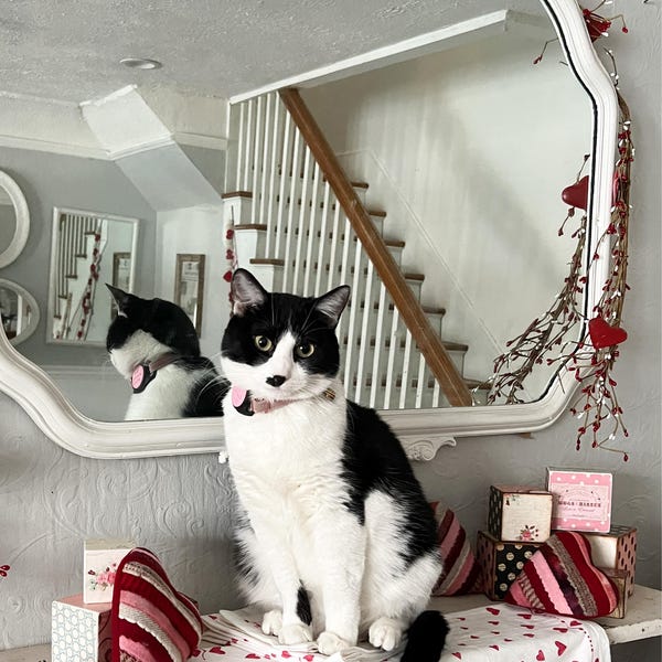 Fish Tails Paper Rug Hooking Pattern, Dimensional Stuffed Hooked Fish ...