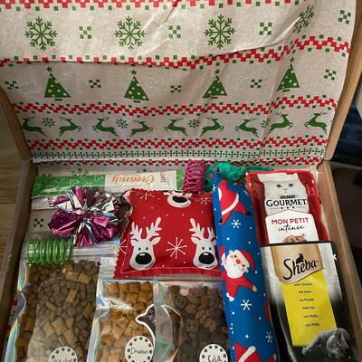 Cat Toy and Treat Gift Box, Cat and Kitten Hamper, Cat Pamper Box ...