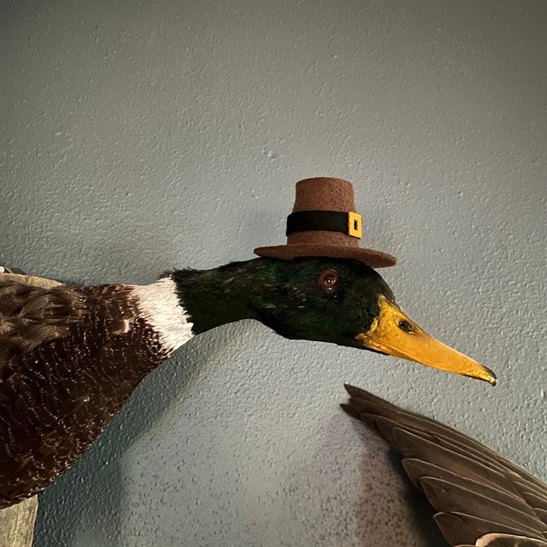 Mini Pilgrim Hat - Etsy