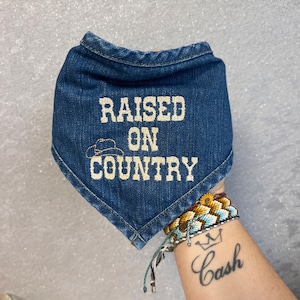 Machine Embroidery Designs INSTANT DOWNLOAD Rio Western Style Font Set ...