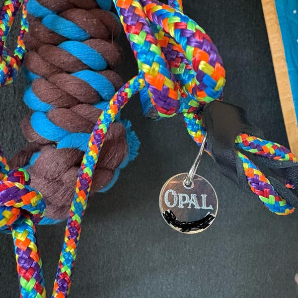 1.5” Color Coded Horse Blanket ID Tag Set - Etsy