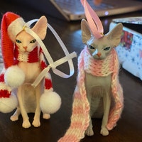 Sphynx Cat Breed Holiday Ornament - Etsy UK