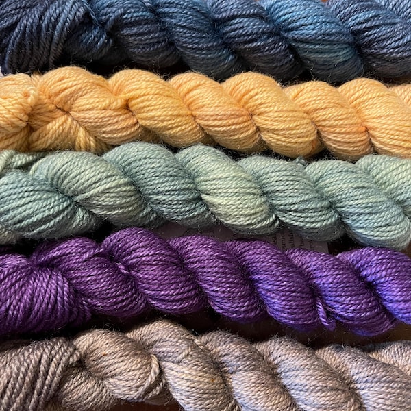 Cascadia West Coast Fade Hand-dyed Set 12 Mini Skeins 10g 20g 50g Full ...