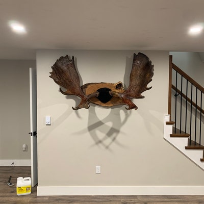 Wild Turkey Wing Quill Arrow Fletching Archery Fly Tying Fishing Smudge ...