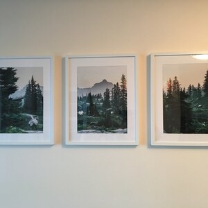 Monstera Leaves Set 3 Print Tropical Leaf Poster Triptych | Etsy