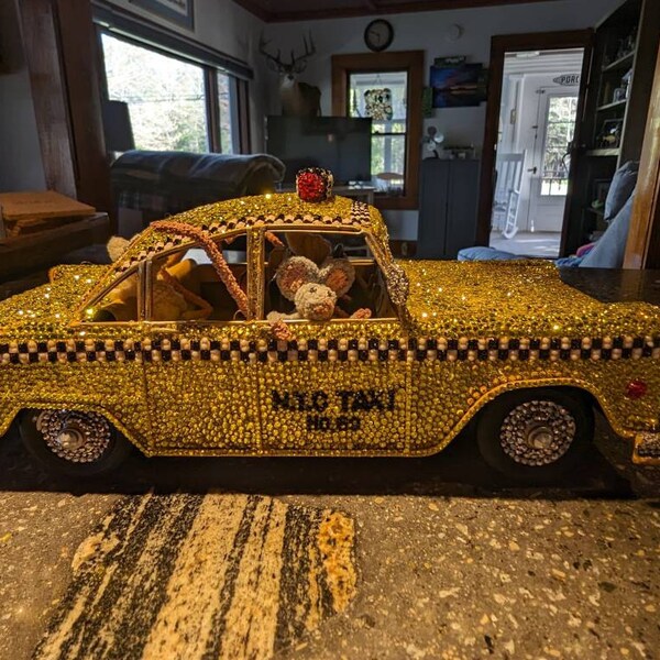 Surprise Funny Feral One Posable Chenille Stem, Pipe Cleaner Kitty Cat ...