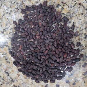 Albanian Cifteli, Traditional Musical Instrument, Handmade, Folk Music ...