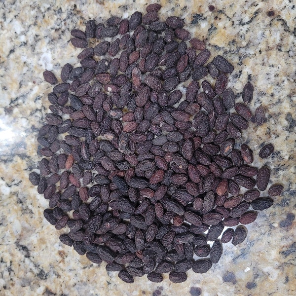 Albanian Cifteli, Traditional Musical Instrument, Handmade, Folk Music ...