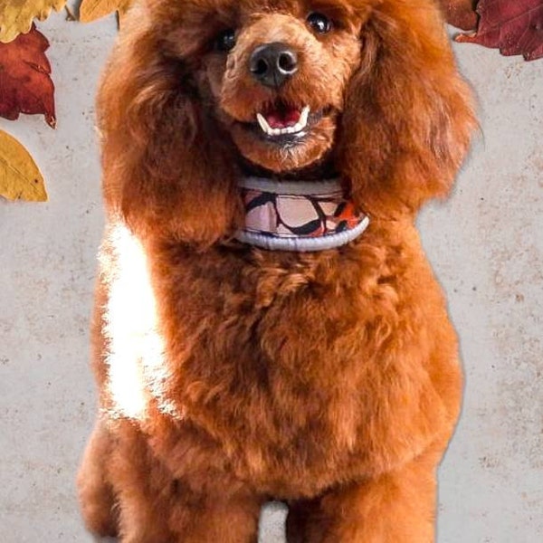 Dog Groomer Uniform, Dog Grooming Dress, Grooming Apparel for Women ...